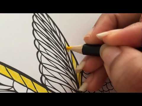 Coloring a bird 🦅