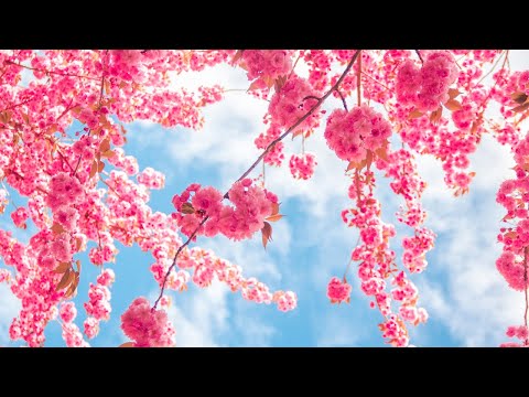Spring vocabulary