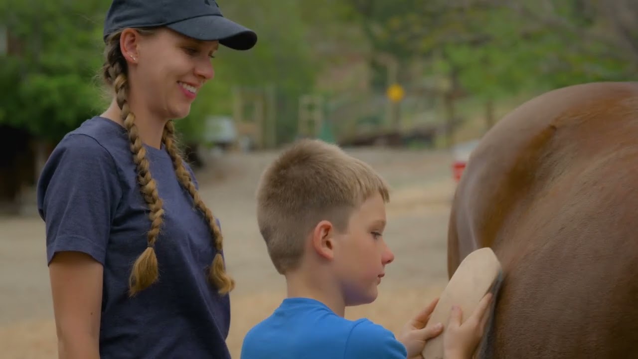 Tim Whiting II - Tim Whiting II