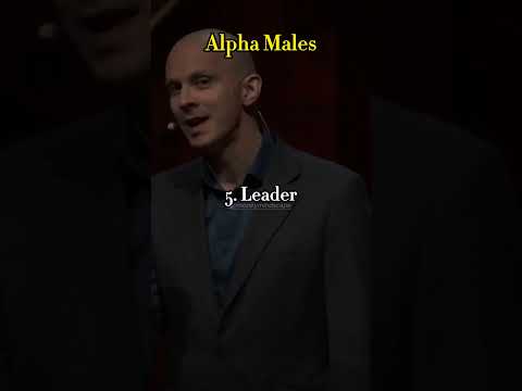 Sigma Males VS Alpha Males???????? (check my description) #shorts #sigmamale #alpha