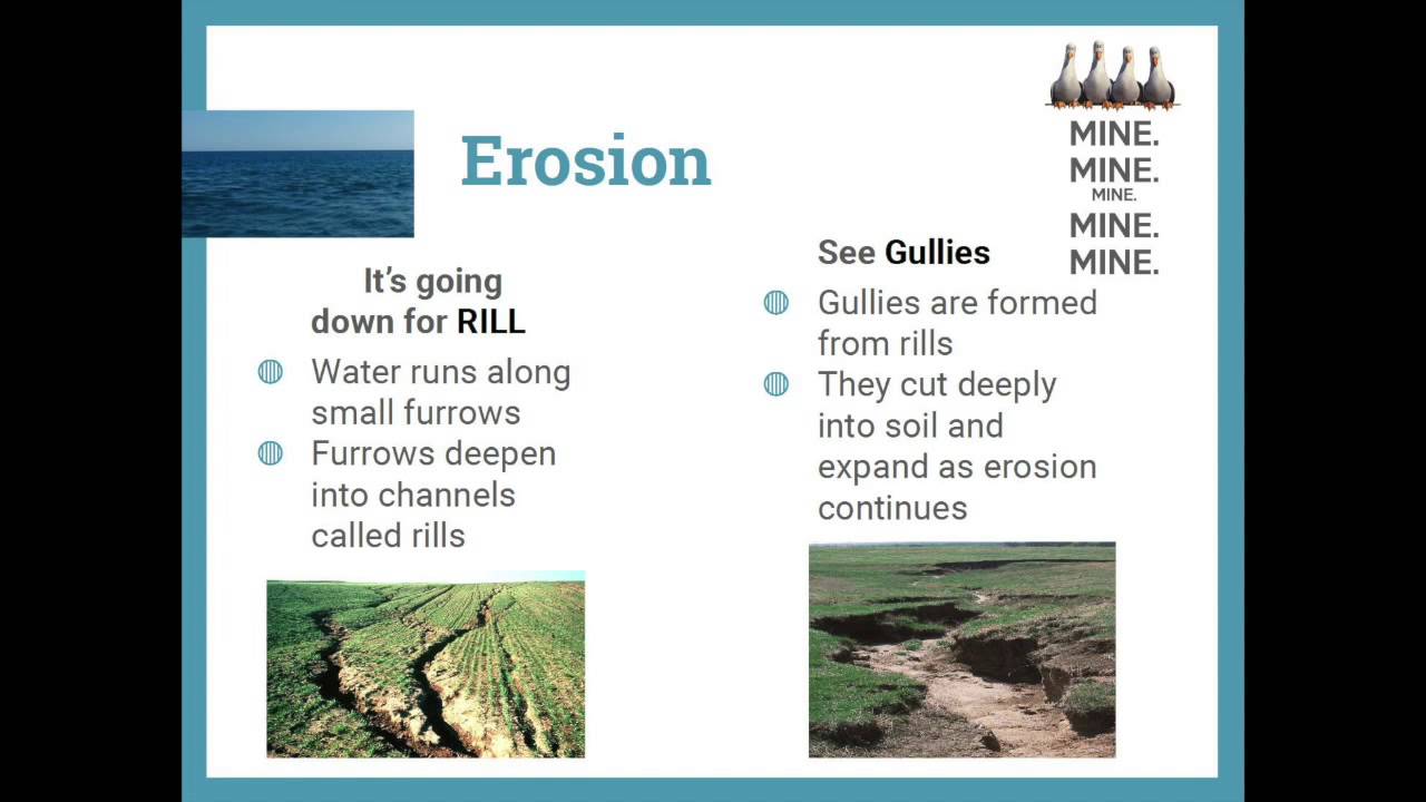 Earth Systems and Resources: Soil & Soil Dynamics: Powerpoint Lecture