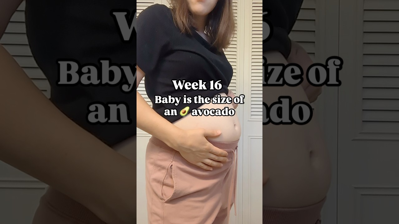 16 weeks pregnant baby development #pregnancyweekbyweek