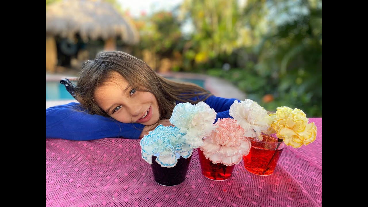 Color Changing Flowers Experiment-Part I by Annabella Wilkinson-7yo