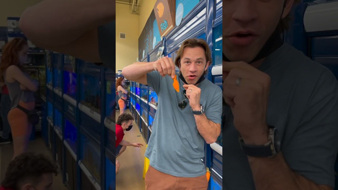 Do not do this at a pet store! 🐠