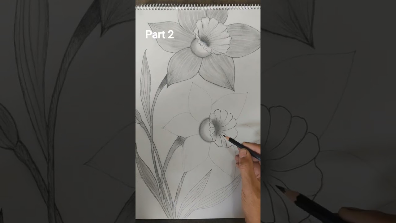 flowers pencil sketching art pictures part 2 #scketch #draw #pencildrawing