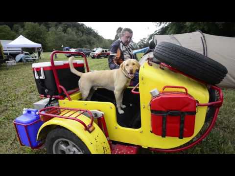 This Dog Travels the Country by Motorcycle