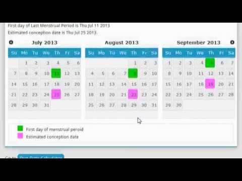 Online conception calculator