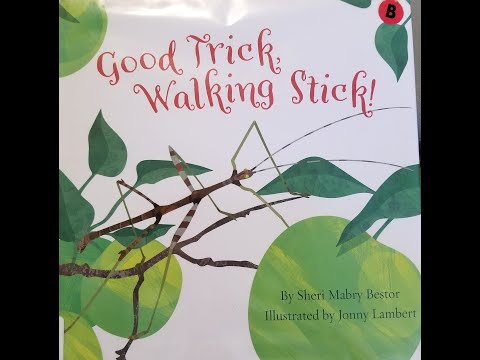 Good Trick, Walking Stick!