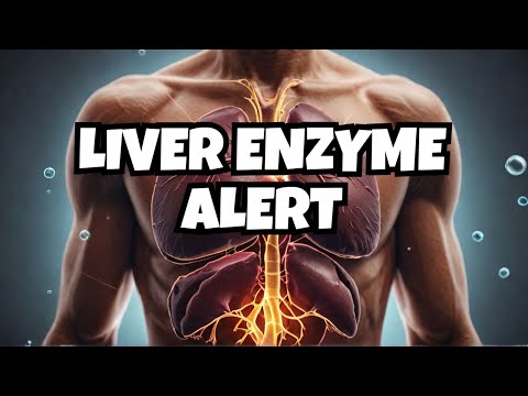 Do You Have High ALT? Liver Enzyme Blood Test Results Explained