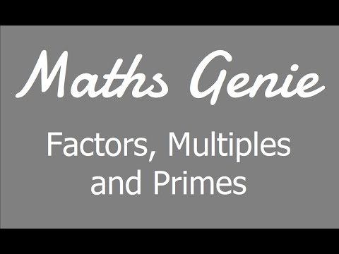 Factors Multiples and Primes