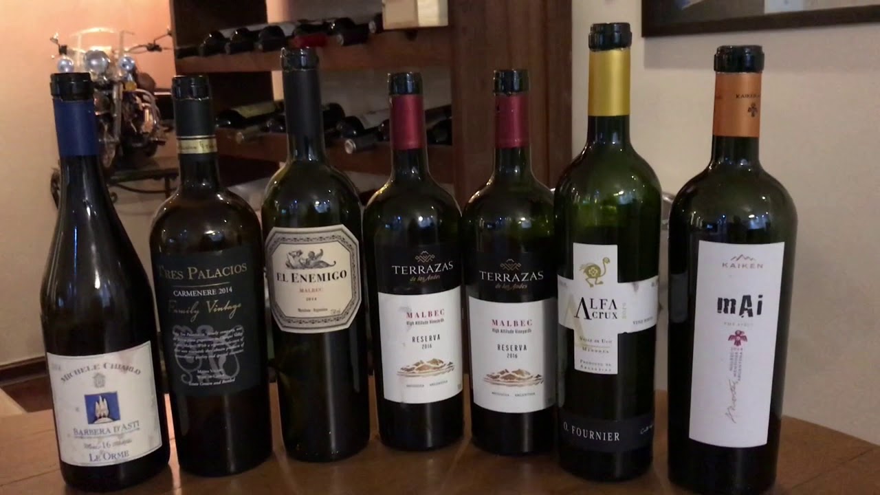 Vinhos Tops com excelente custo x benefício