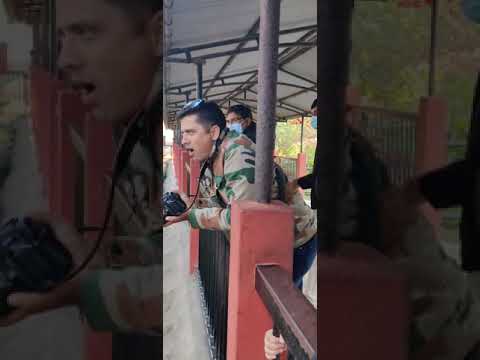 Tiger out side cage! Danger ☠️ |Jawalakhel zoo| Nepal 😜♦️😅