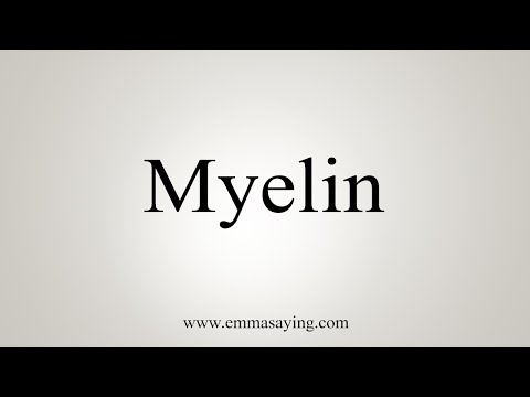 How To Say Myelin