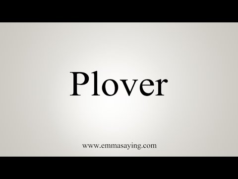 How To Say Plover