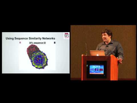 Sequence Similarity Networks for the "Protein Universe"
