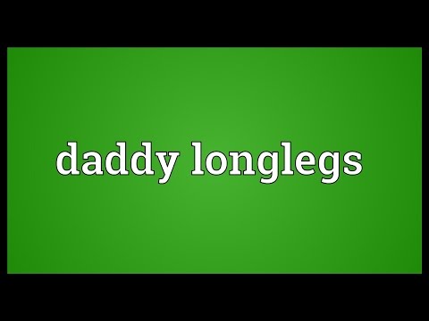 Daddy longlegs Meaning