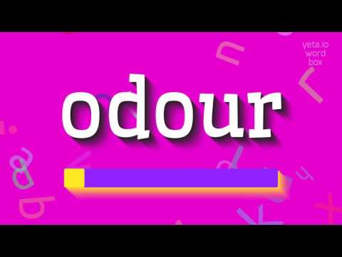 How to say "odour"! (High Quality Voices)