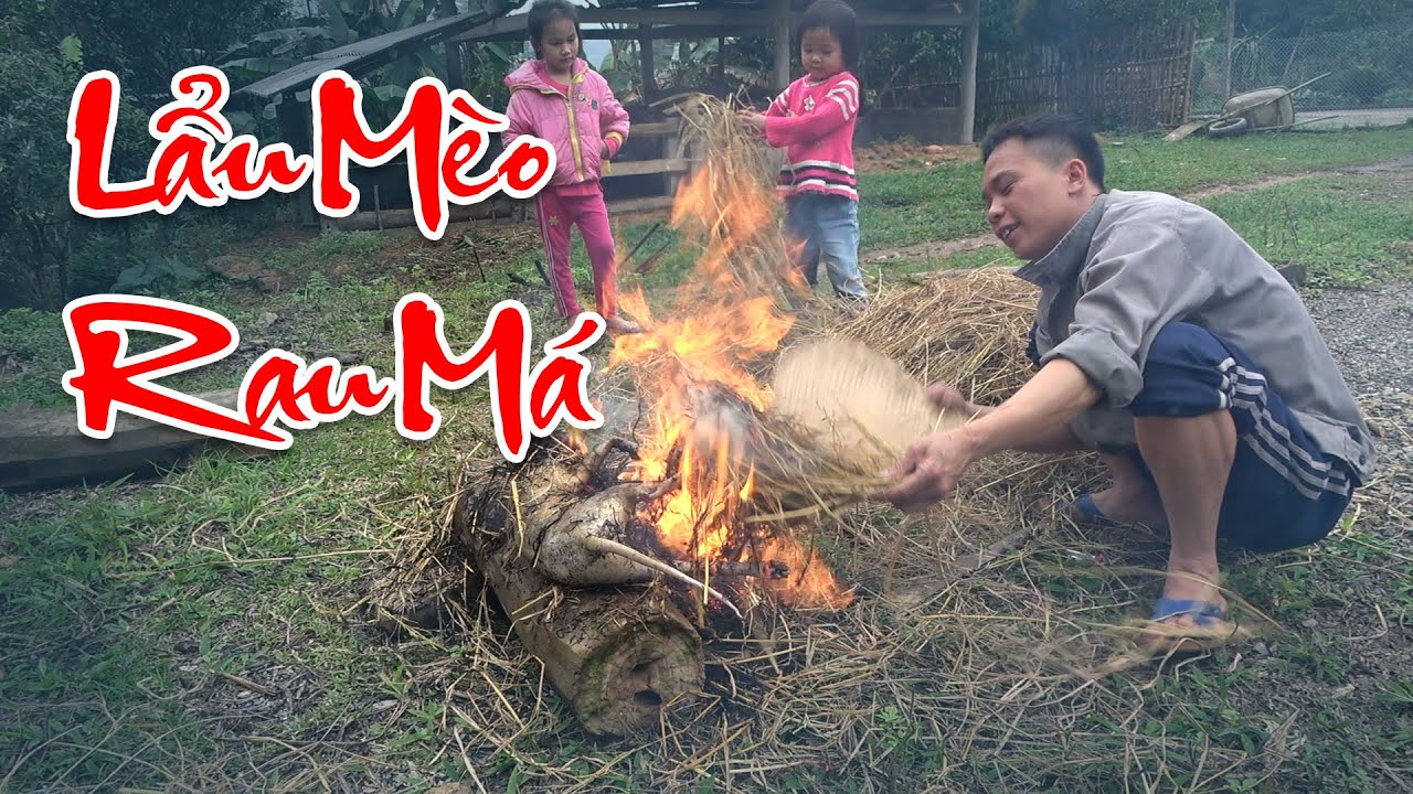 Cách Nấu Lẩu Mèo: Món ăn hấp dẫn từ vùng núi
