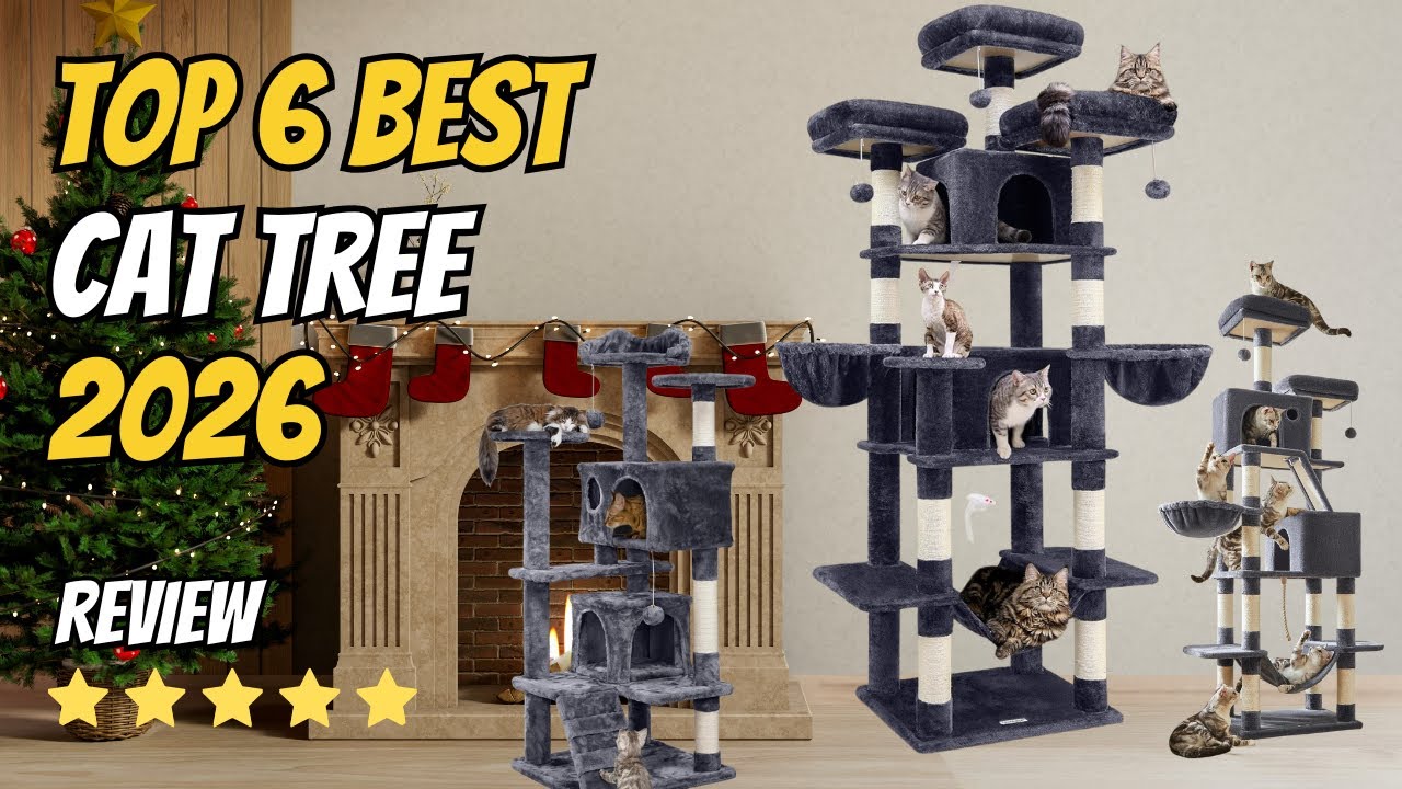 Top 6 Best Cat Trees  2026 | Top Towers for Kittens, Large Cats & Multi-Cat Homes