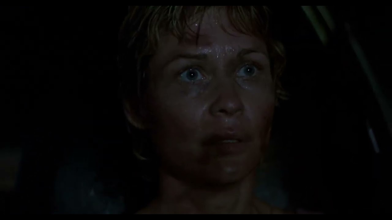 Cujo 9/11