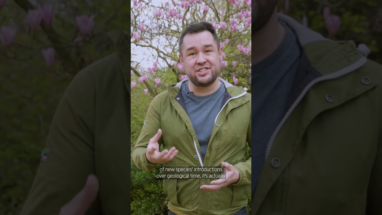 Why gardening with 'native' plants isn't always better for the environment 🌸🐝⁠