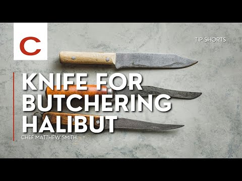 Knife for Butchering Halibut | Chef Matthew Smith | Tips #shorts