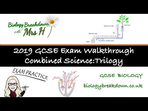 GCSE Combined Science : Trilogy / Biology Paper 1