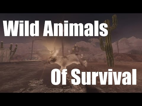 Steam Community :: Video :: Fallout New Vegas Mod - Wild Animals Of ...