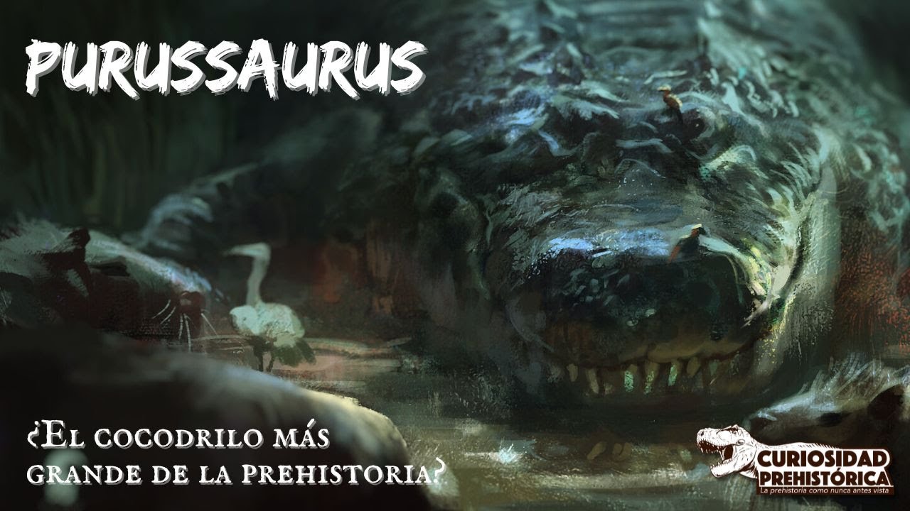 The largest crocodile in prehistory? - Purussaurus