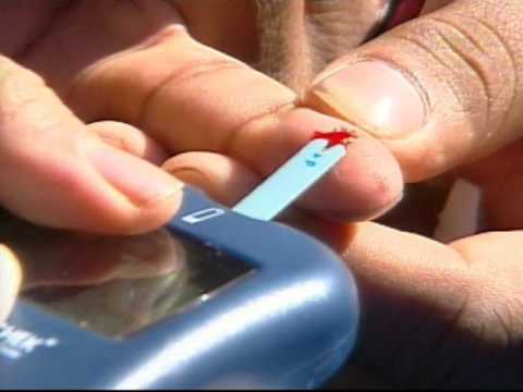 Health Fair - NJN News Healthwatch Report