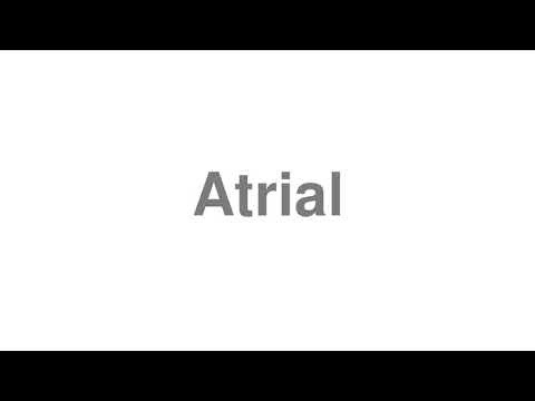 How to Pronounce "Atrial"