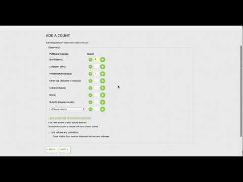 Great Sunflower data entry