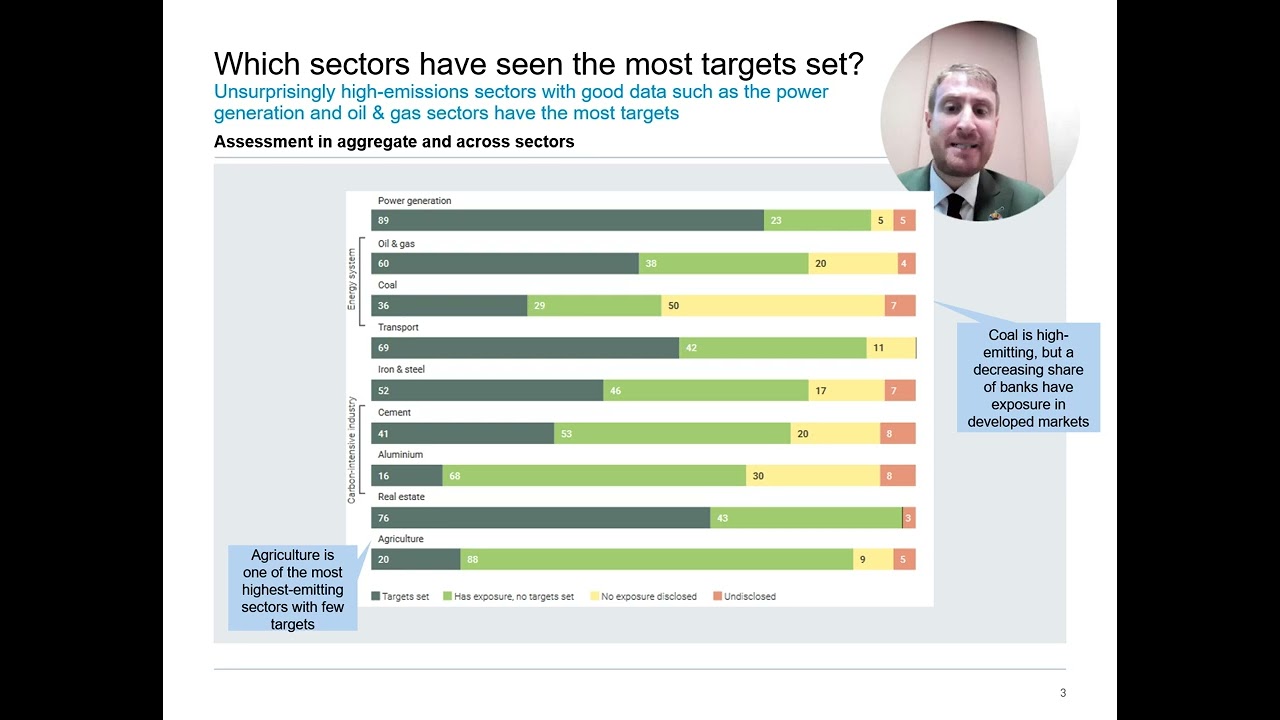 Summary of NZBA's 2024 progress report