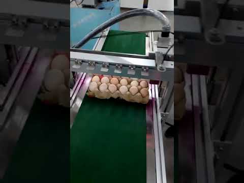 Egg Printing-Willita CIJ Inkjet Printer with moving device for printing logo,number,batchcode on egg