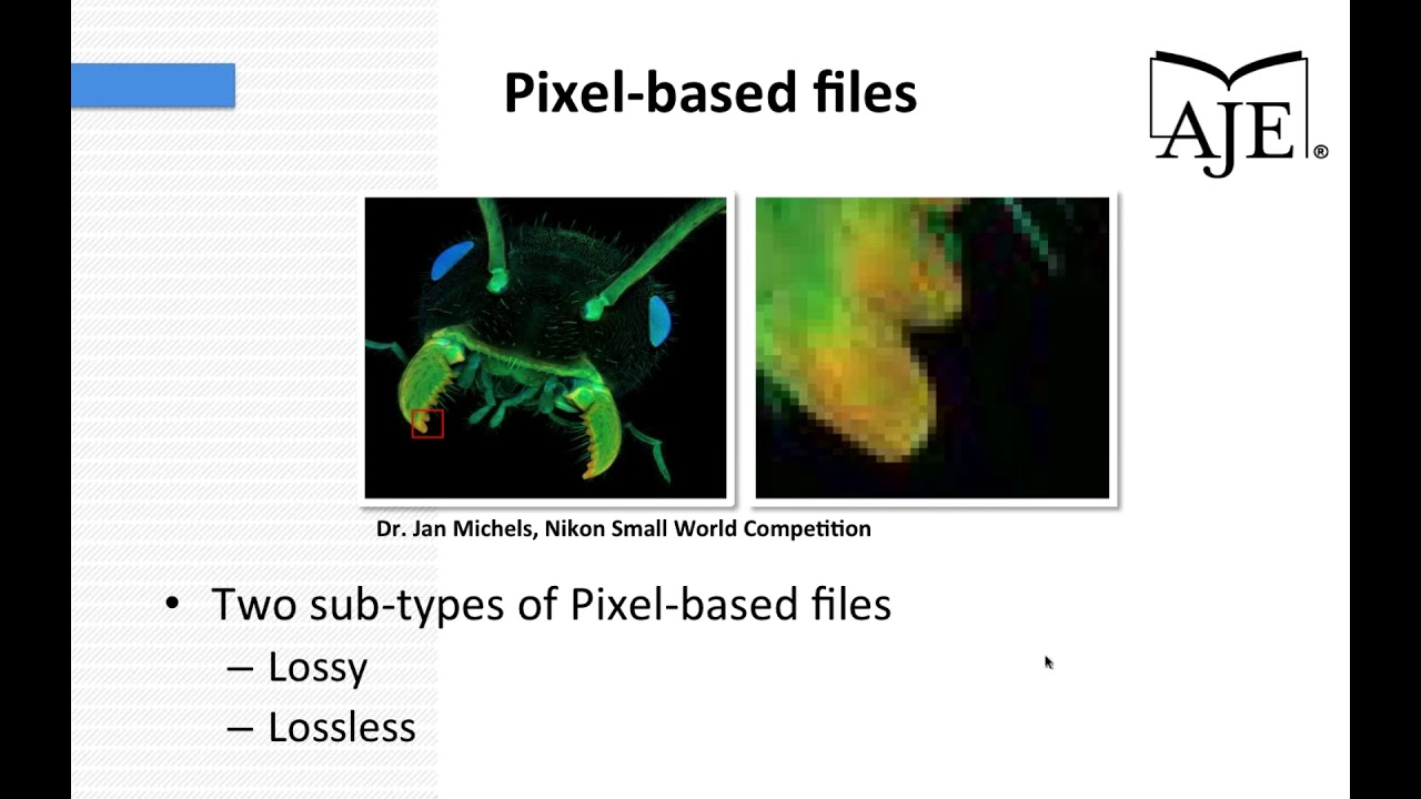 Webinar: Creating Figures For Scientific Posters