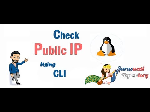 How to Check Public IP Address in Linux using CLI? | Saraswati Repository