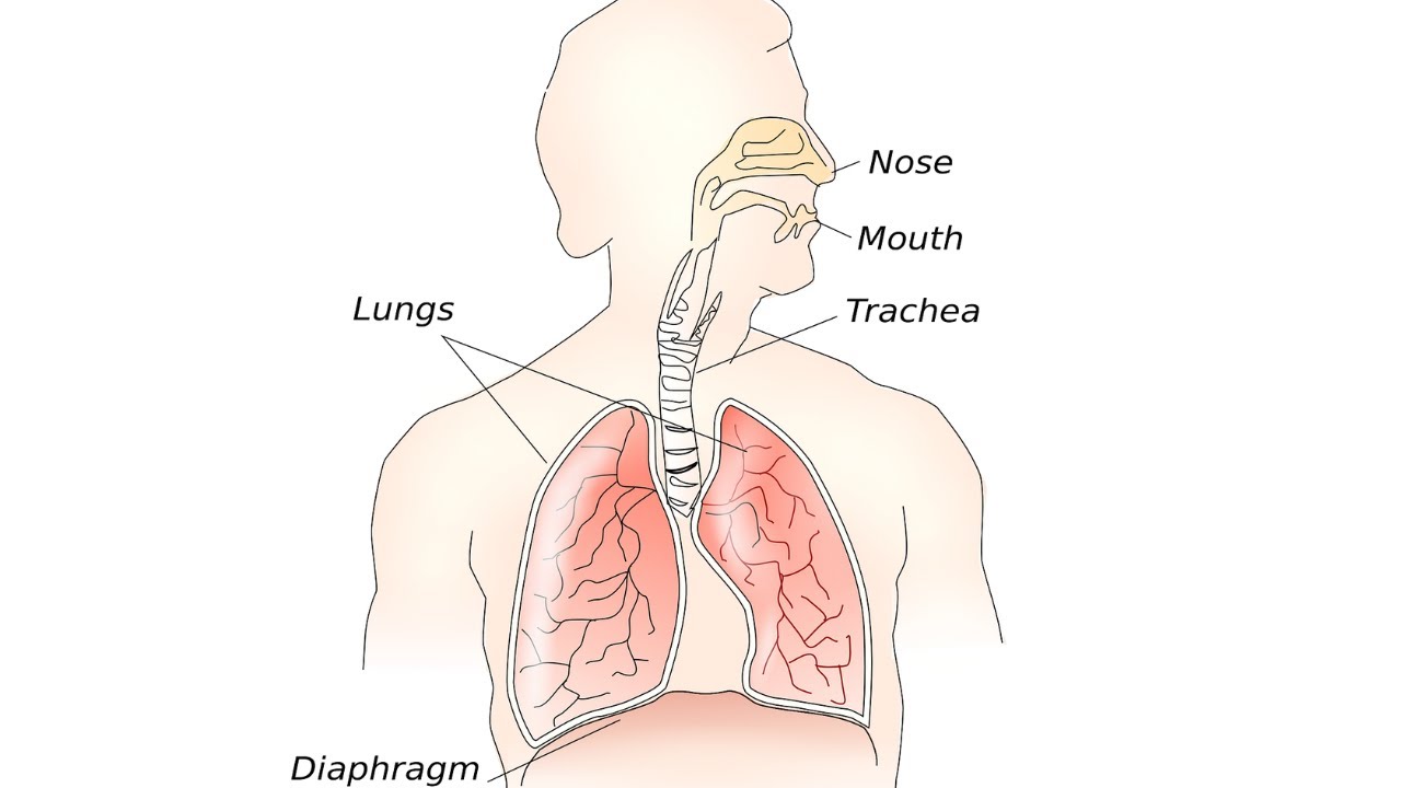 Living with BAP1: The Hidden Cancer Risk You Need to Know About
