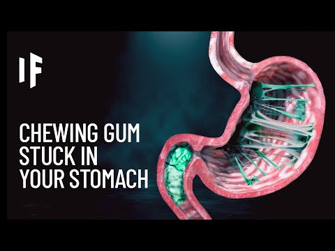 What If You Always Swallow Your Chewing Gum?