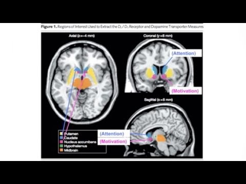 Diagnosis in Preschoolers: Lessons Learned from Preschoolers with ADHD Treatment Study