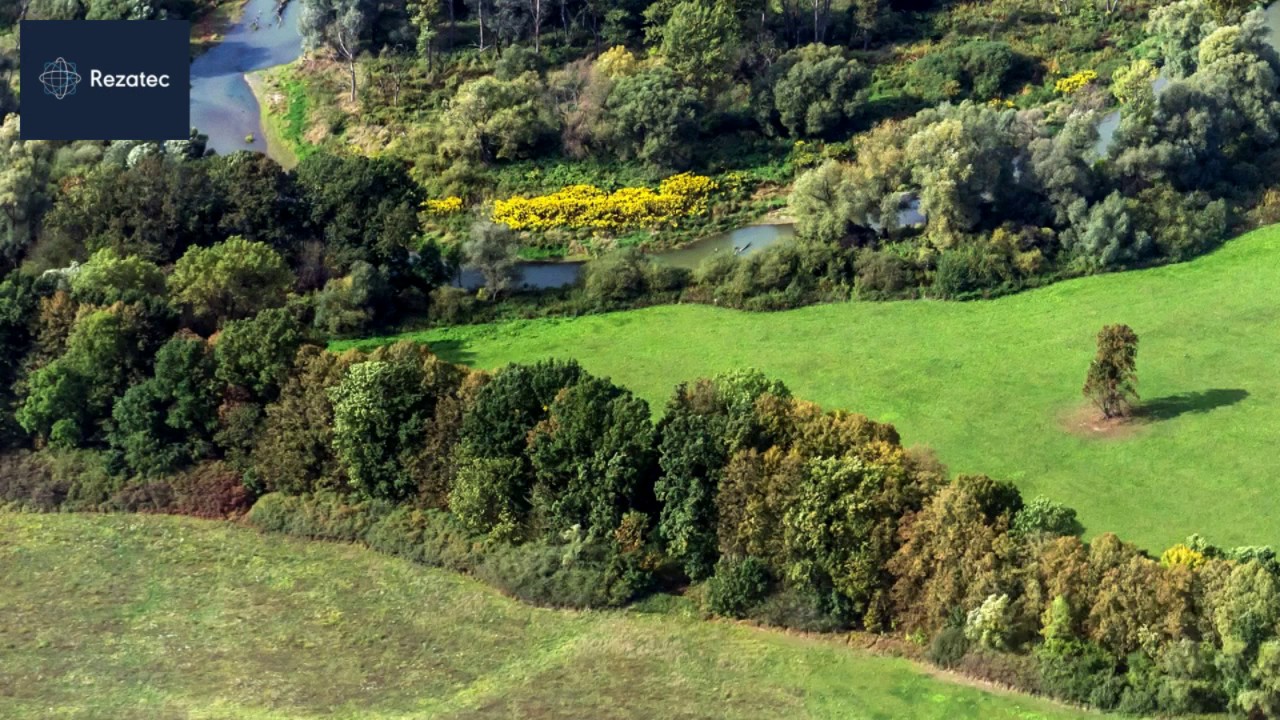 Specialist forestry sector intelligence. Geospatial data analytics and insight from Rezatec.