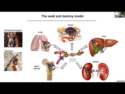Effector Function Seminar Series: Effector cells present in different compartments & disease states