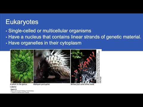 BIO100A week 1 Cell theory and cell structure