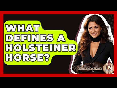 What Defines A Holsteiner Horse? - The Horses Stable