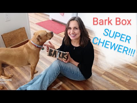 Unboxing Bark Box- Super Chewer With My Boys!