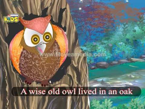 a wise old owl