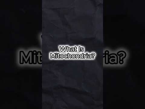What is Mitochondria? Structure, Functions & Definition