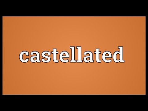 Castellated Meaning