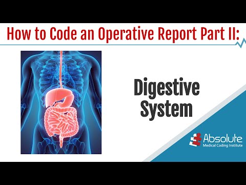 Coding an Operative Report Part II: Digestive System