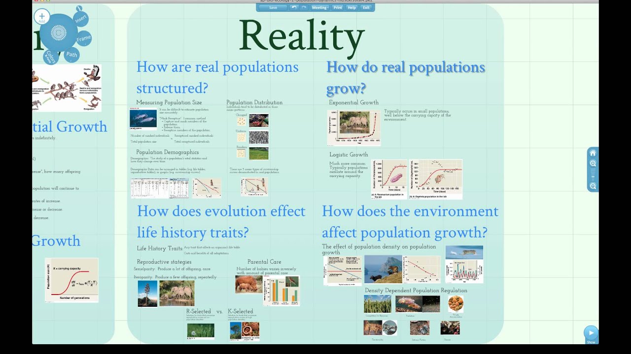 Understanding Prezi 2: A Sample Process