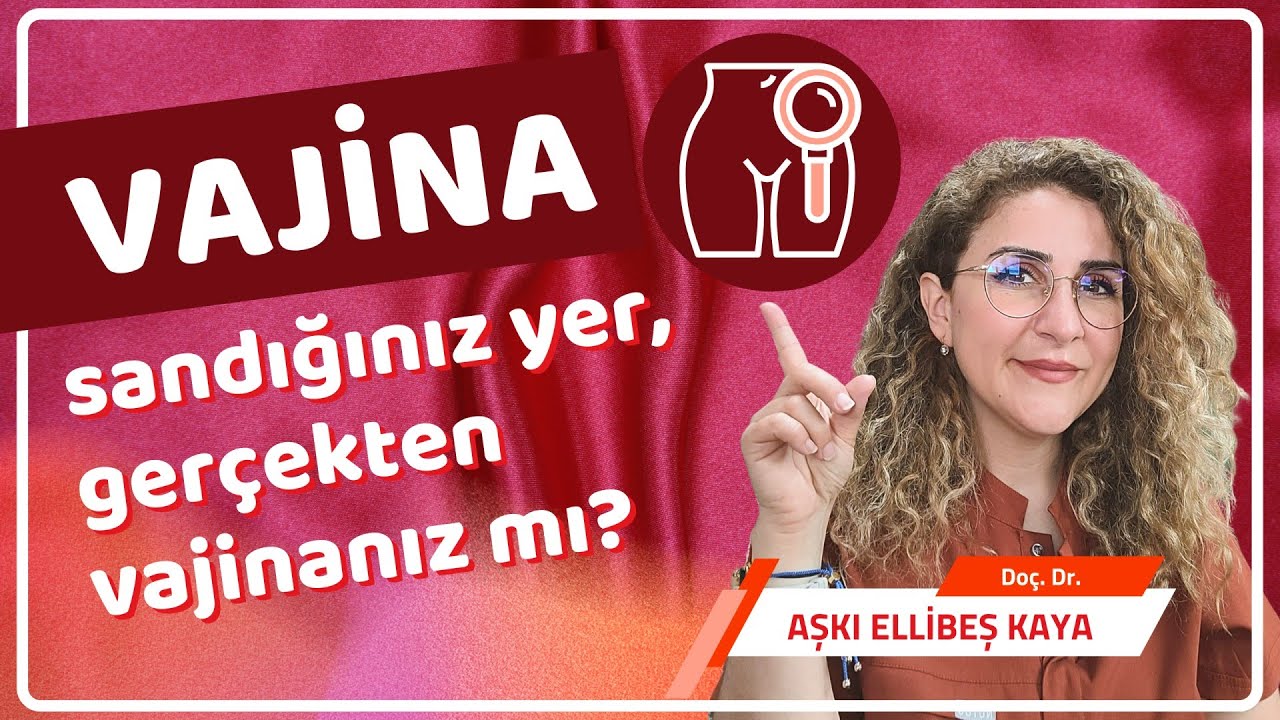Vajina nerede? #vulva #rahim